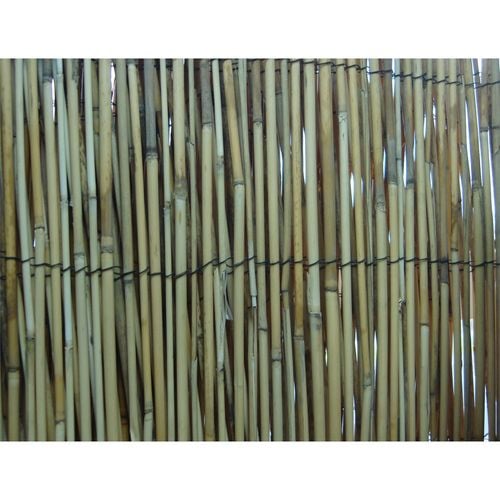 Eden 1.5 x 3m Euro Reed Screen Fencing - Bunnings Australia