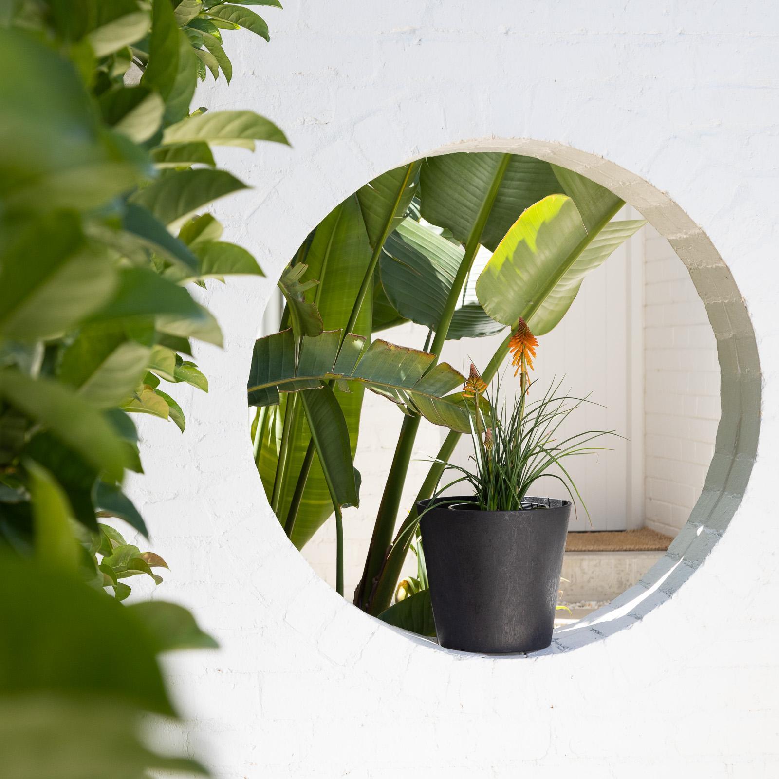 Tuscan Path 30 x 28cm Black Small Octavia Hunter Pot - Bunnings Australia