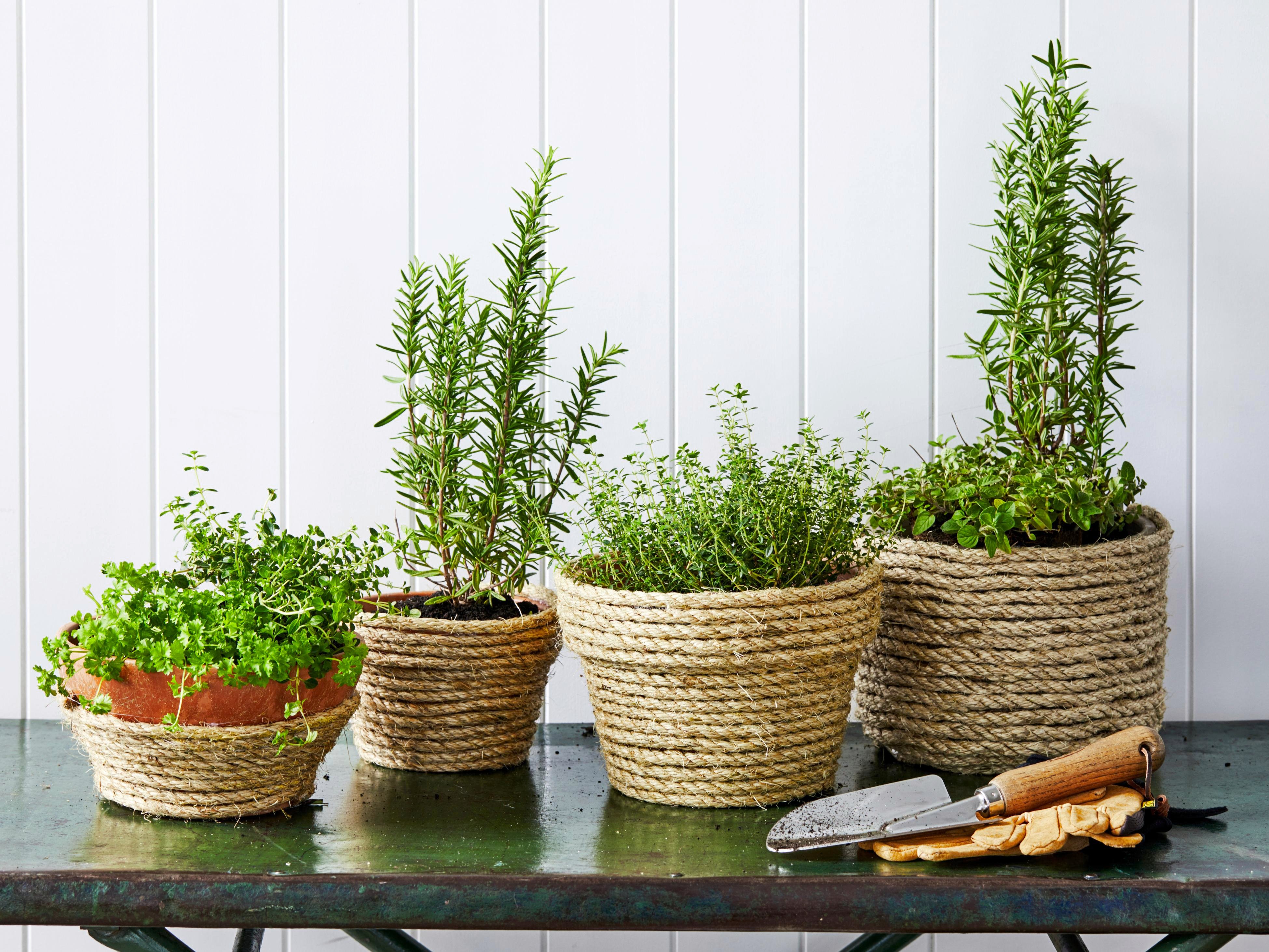 How To Make Rope Pots - Bunnings New Zealand