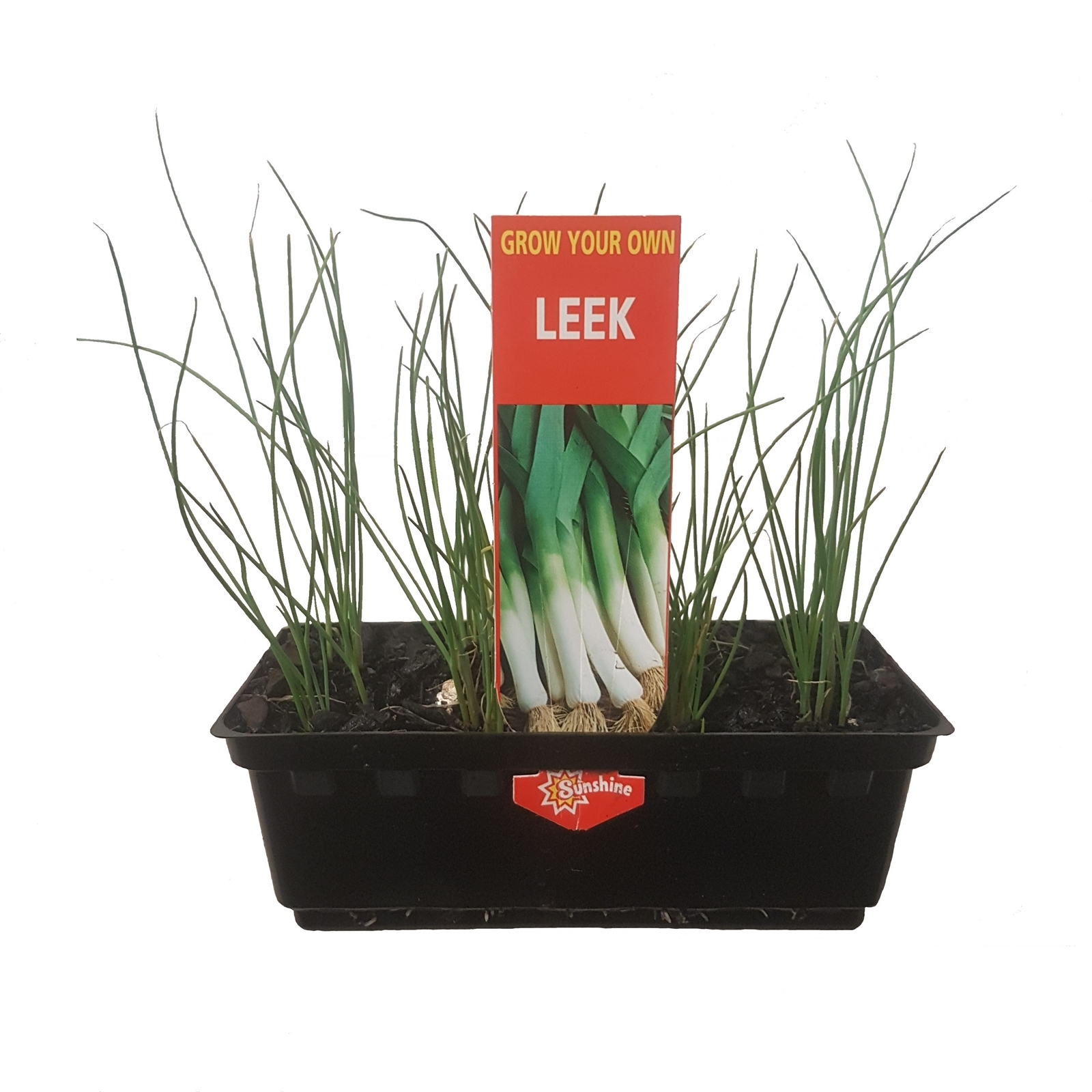 Punnet Leek - Allium porrum - Bunnings Australia
