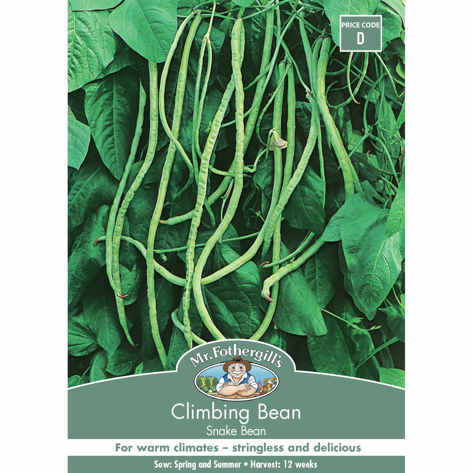 Mr Fothergill's Snake Bean Climbing Bean Vegetable Seed - Bunnings ...