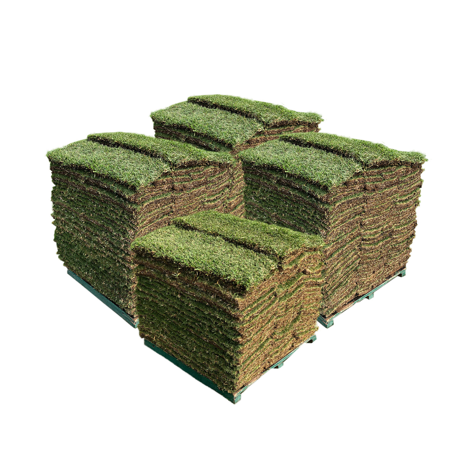 Sir Walter DNA Certified Buffalo 190m² Soft Leaf Buffalo Turf - Pallet ...