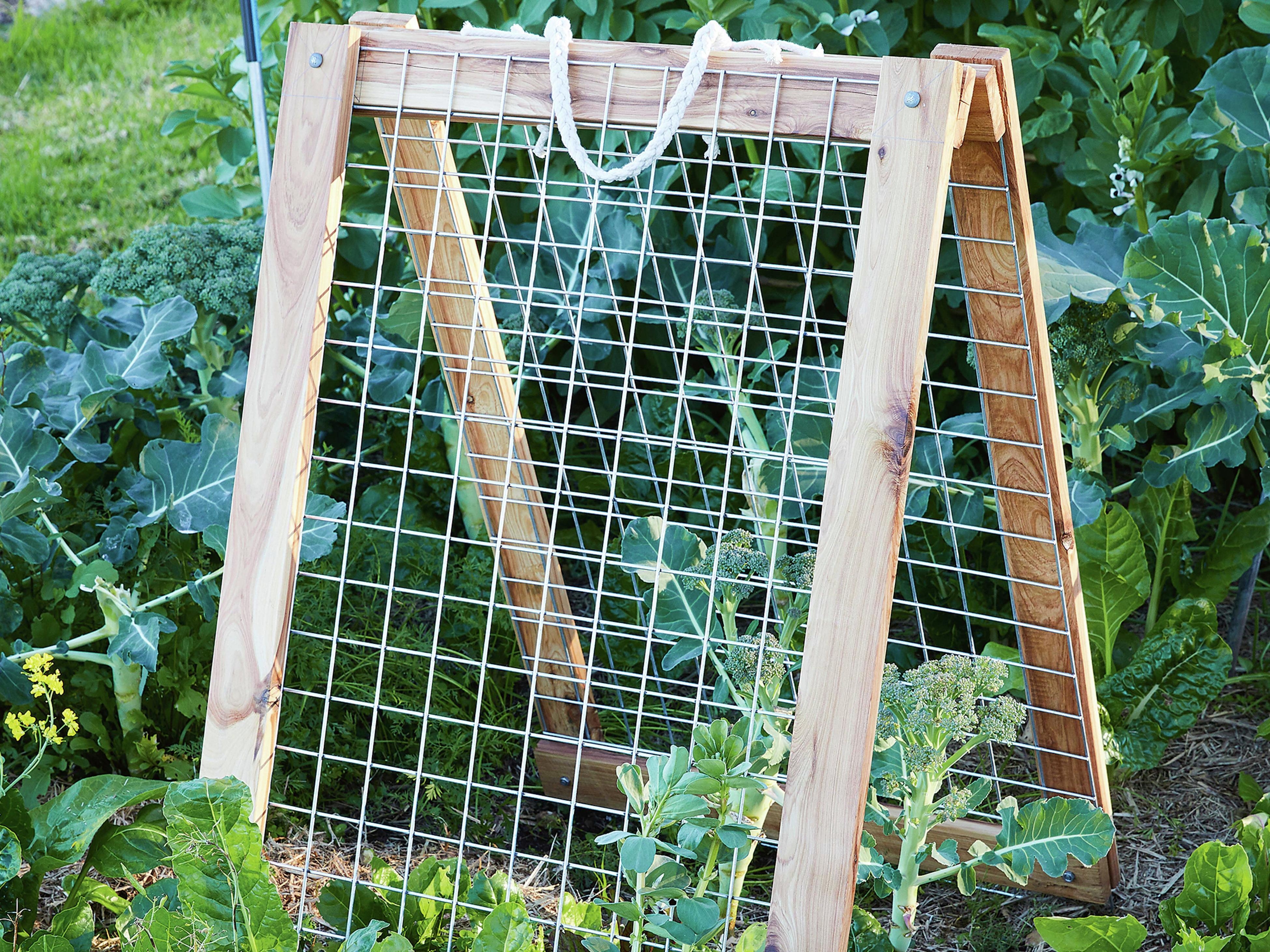 How To Make A Mesh And Timber Grow Frame - Bunnings New Zealand