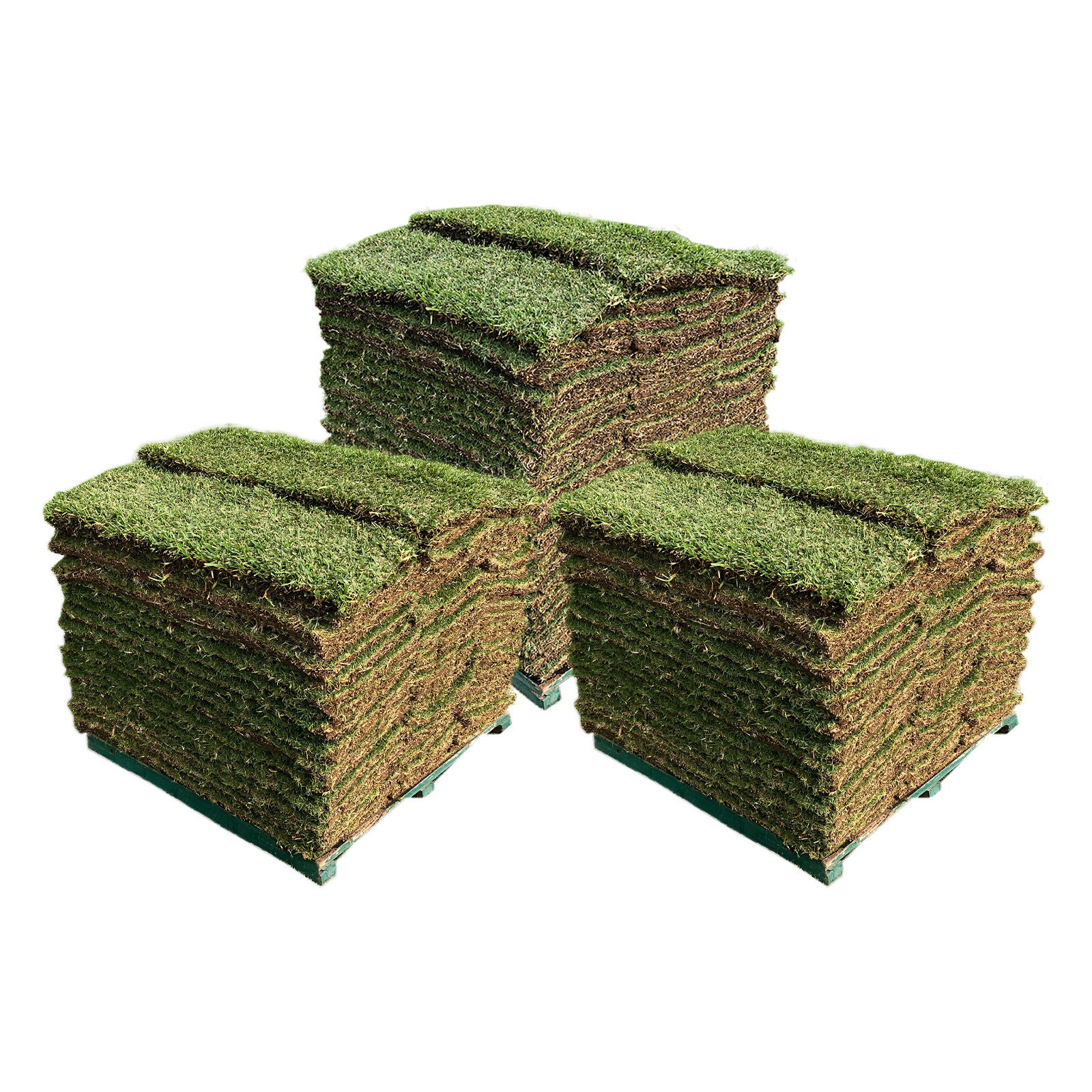 Sir Walter DNA Certified Buffalo 130m² Soft Leaf Buffalo Turf - Pallet ...