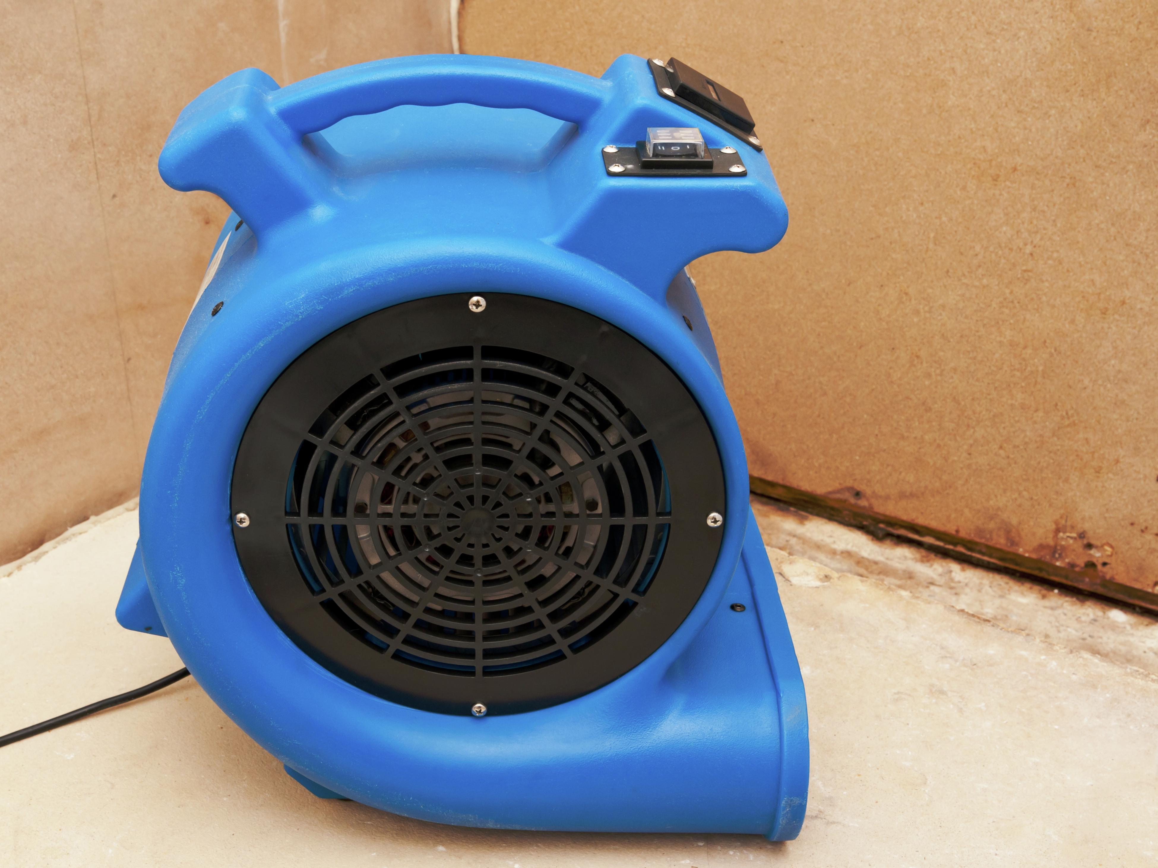 Carpet Blowers For Hire - Bunnings Australia