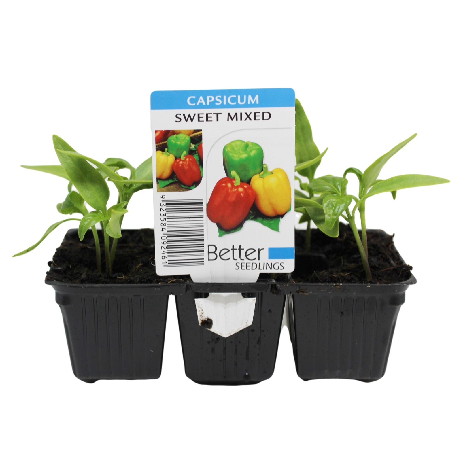 Capsicum Sweet Mixed Vegetable Punnet - Bunnings Australia