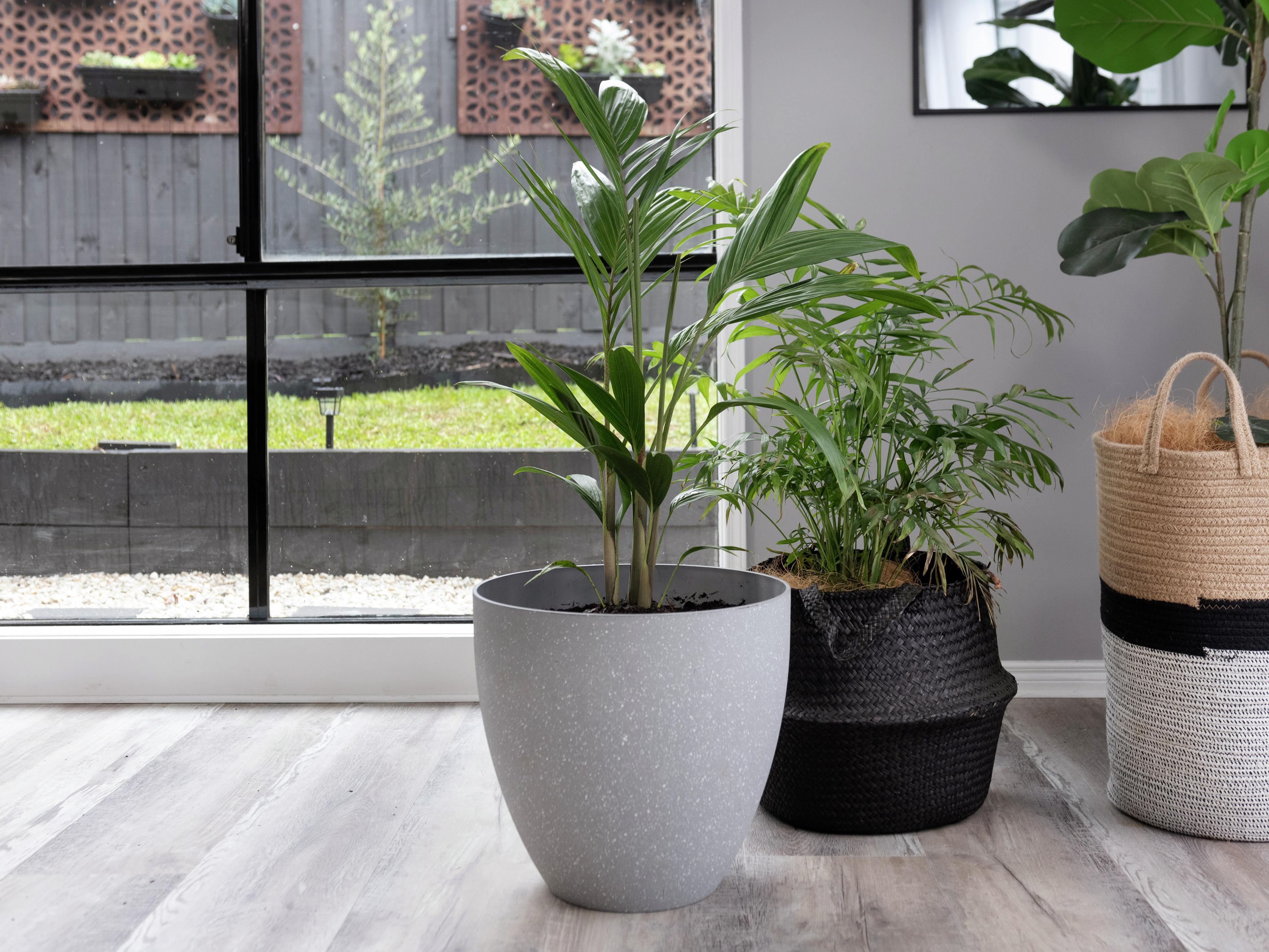 How To Pot A Plant - Bunnings Australia