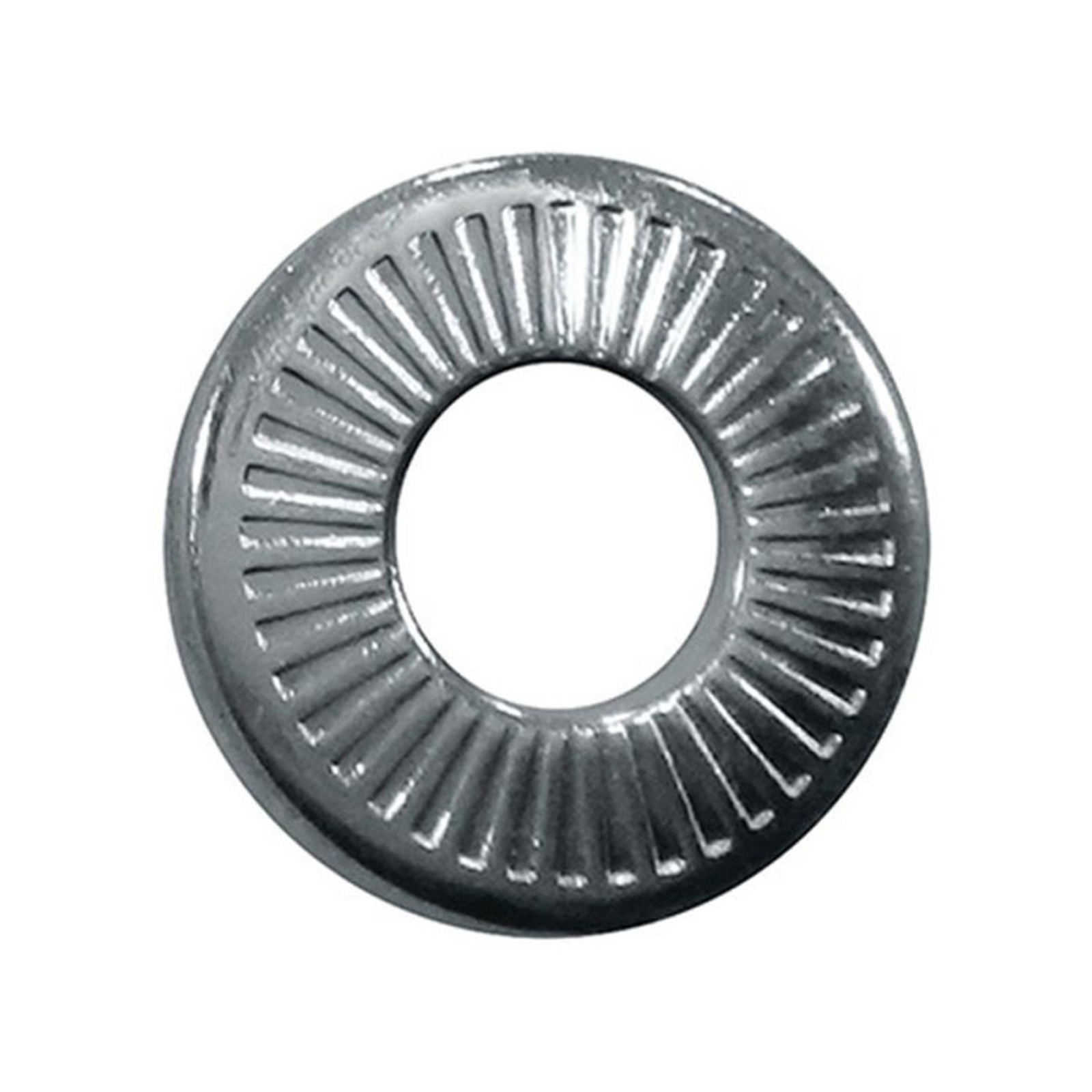 Pinnacle M10 Zinc Plated Conic Contact Washer - 6 Pack - Bunnings New ...