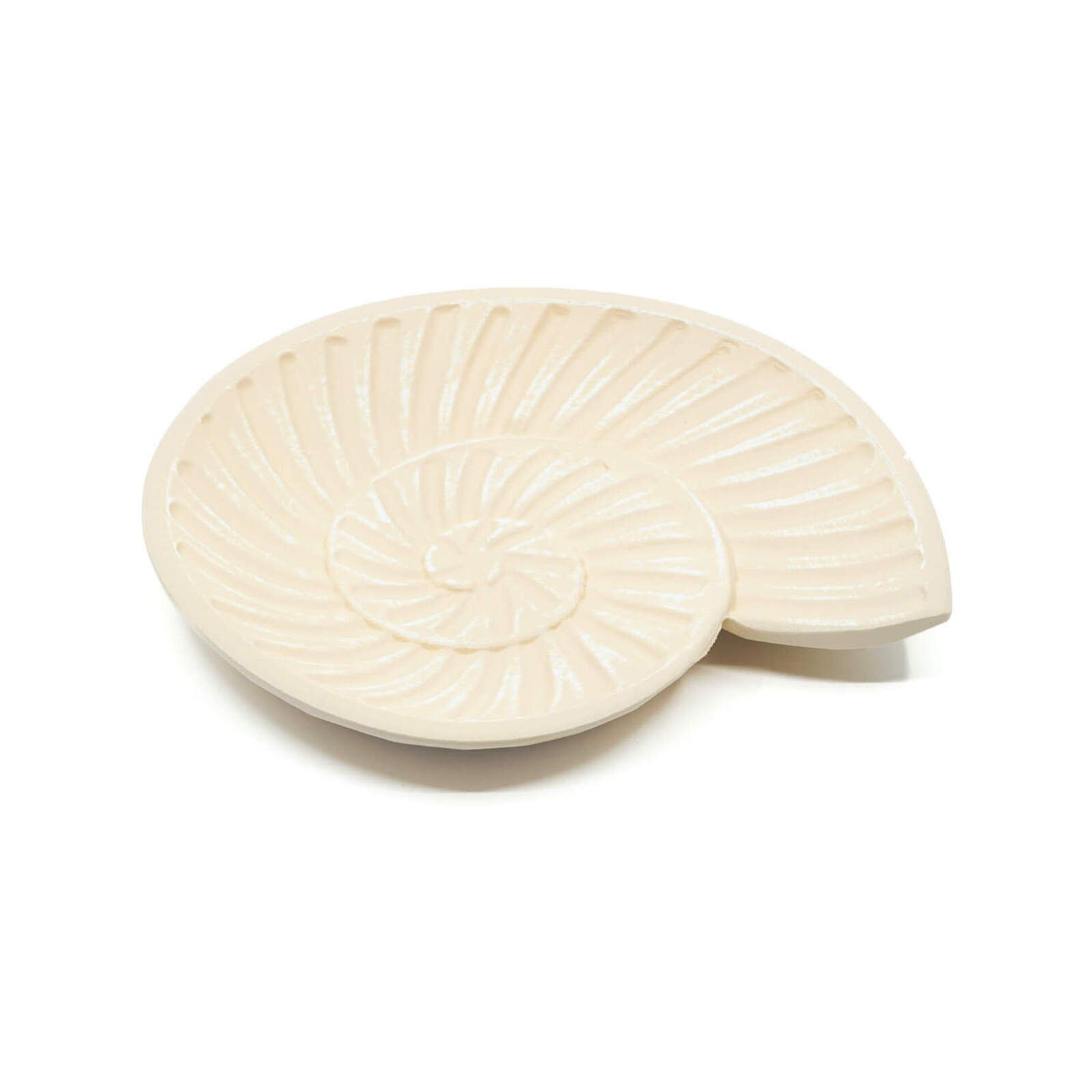 Rayell Harp Shell Trinket Tray Beige Home Decor/Storage 23x20x2cm ...