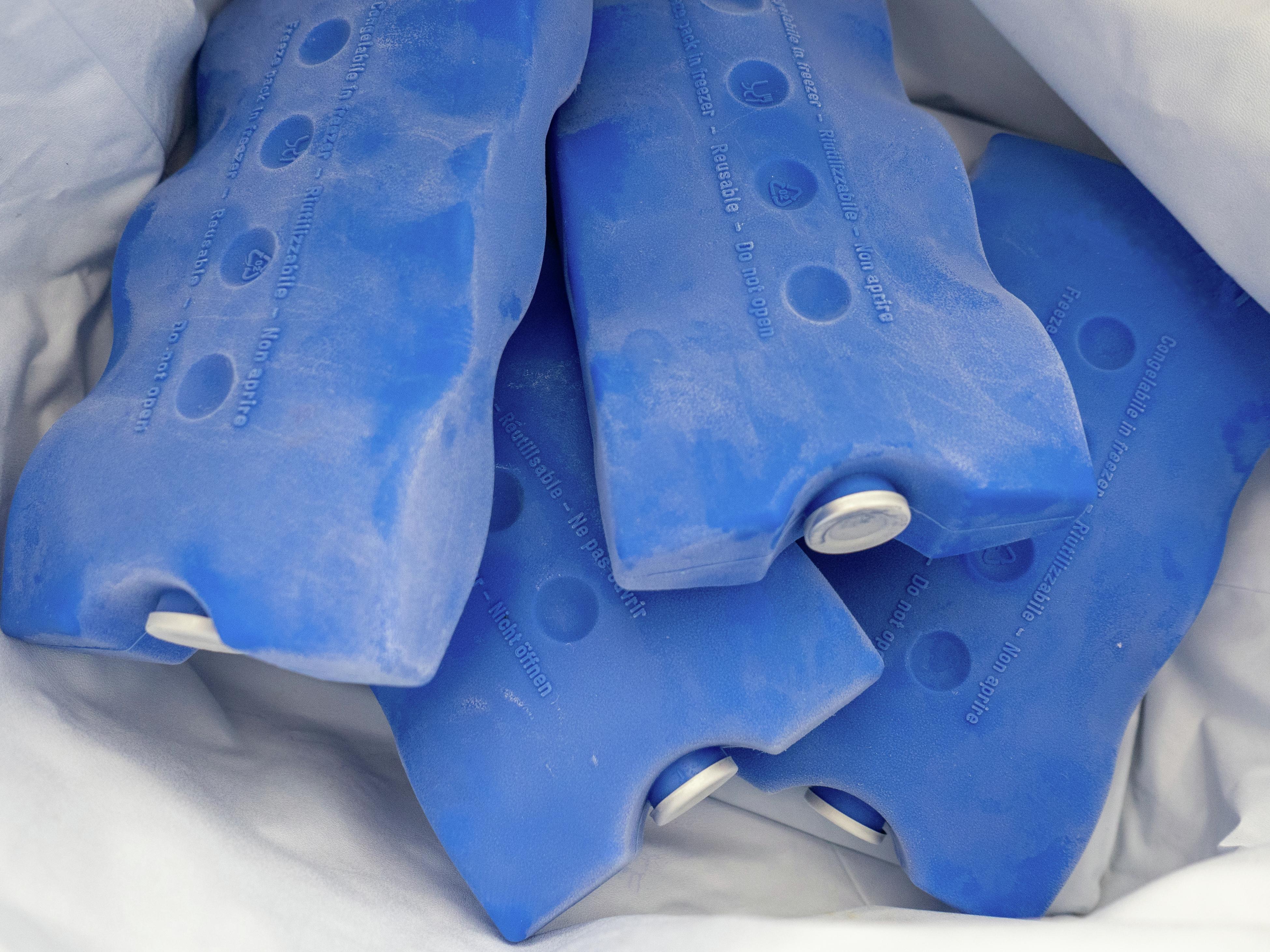 Ice Bricks & Gel Packs - Bunnings Australia