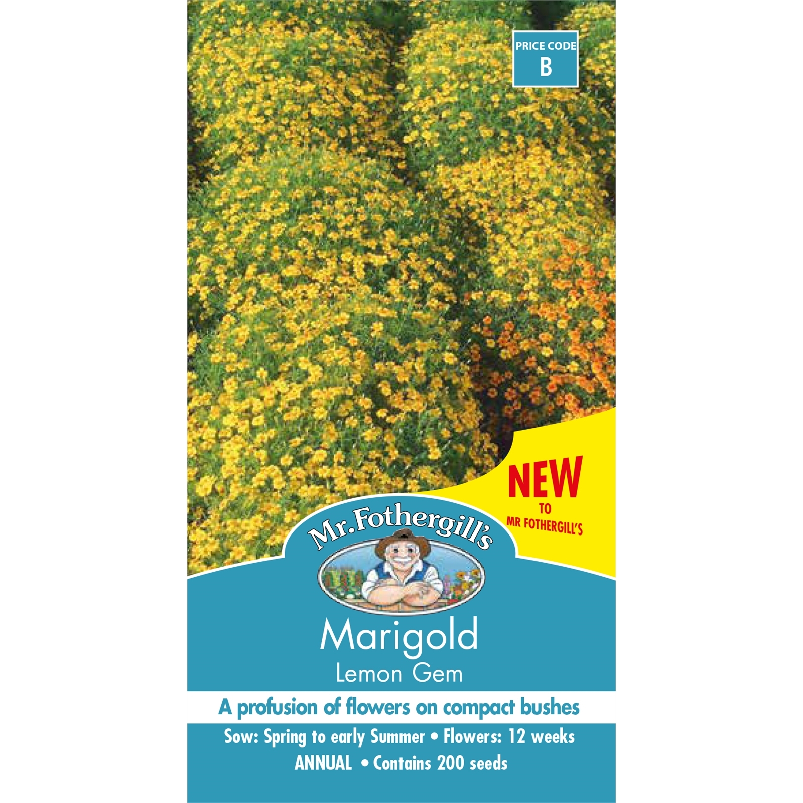 Mr Fothergill's Marigold Lemon Gem Seeds - Bunnings Australia