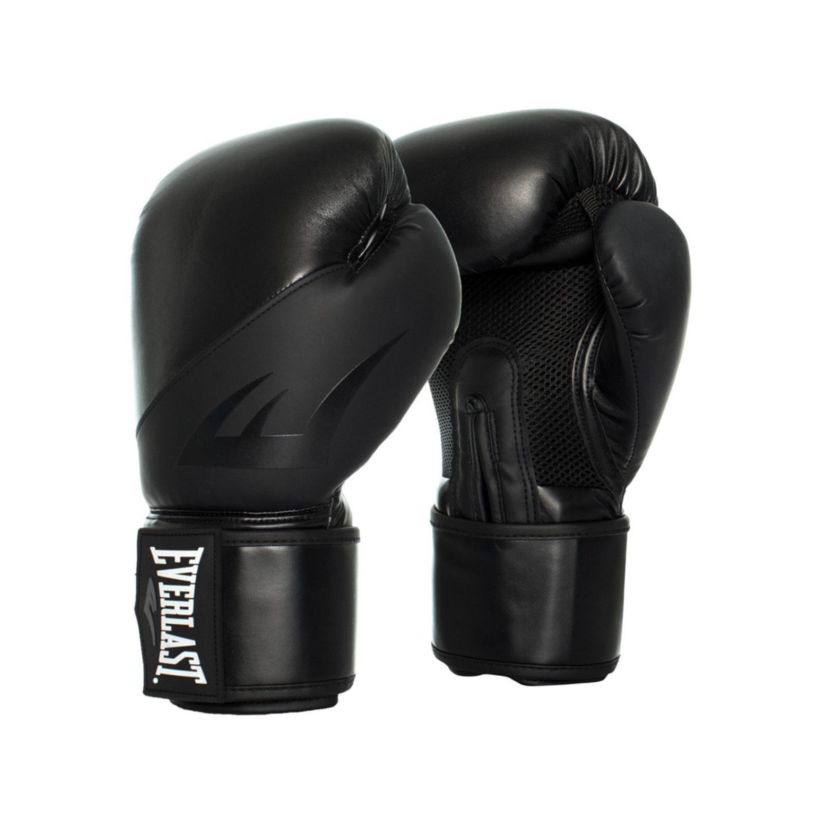 Everlast Ex Boxing Training Glove Pair 10oz Training/Sparring/Mitt ...