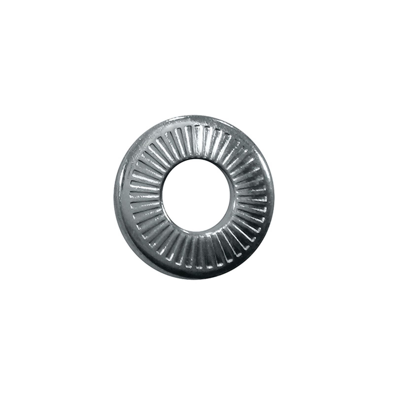 Pinnacle M12 Zinc Plated Conic Contact Washer - 6 Pack - Bunnings Australia
