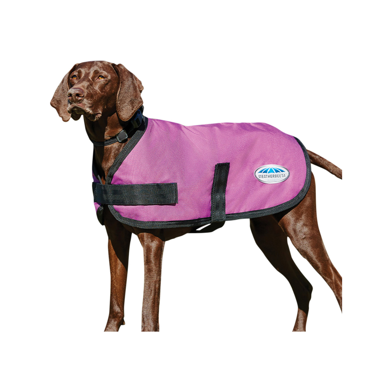WeatherBeeta 50cm Pink ComFiTec Classic Dog Coat - Bunnings Australia