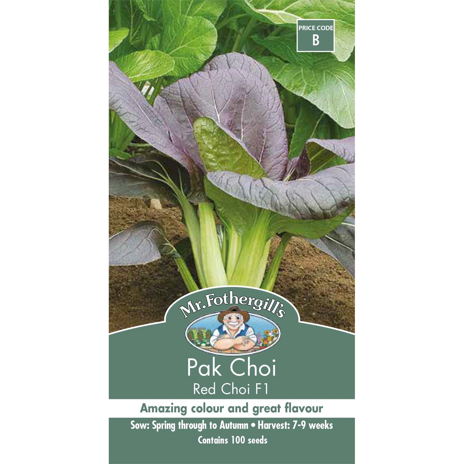 Mr Fothergill's Pak Choi Red Choi F1 Seeds - Bunnings Australia