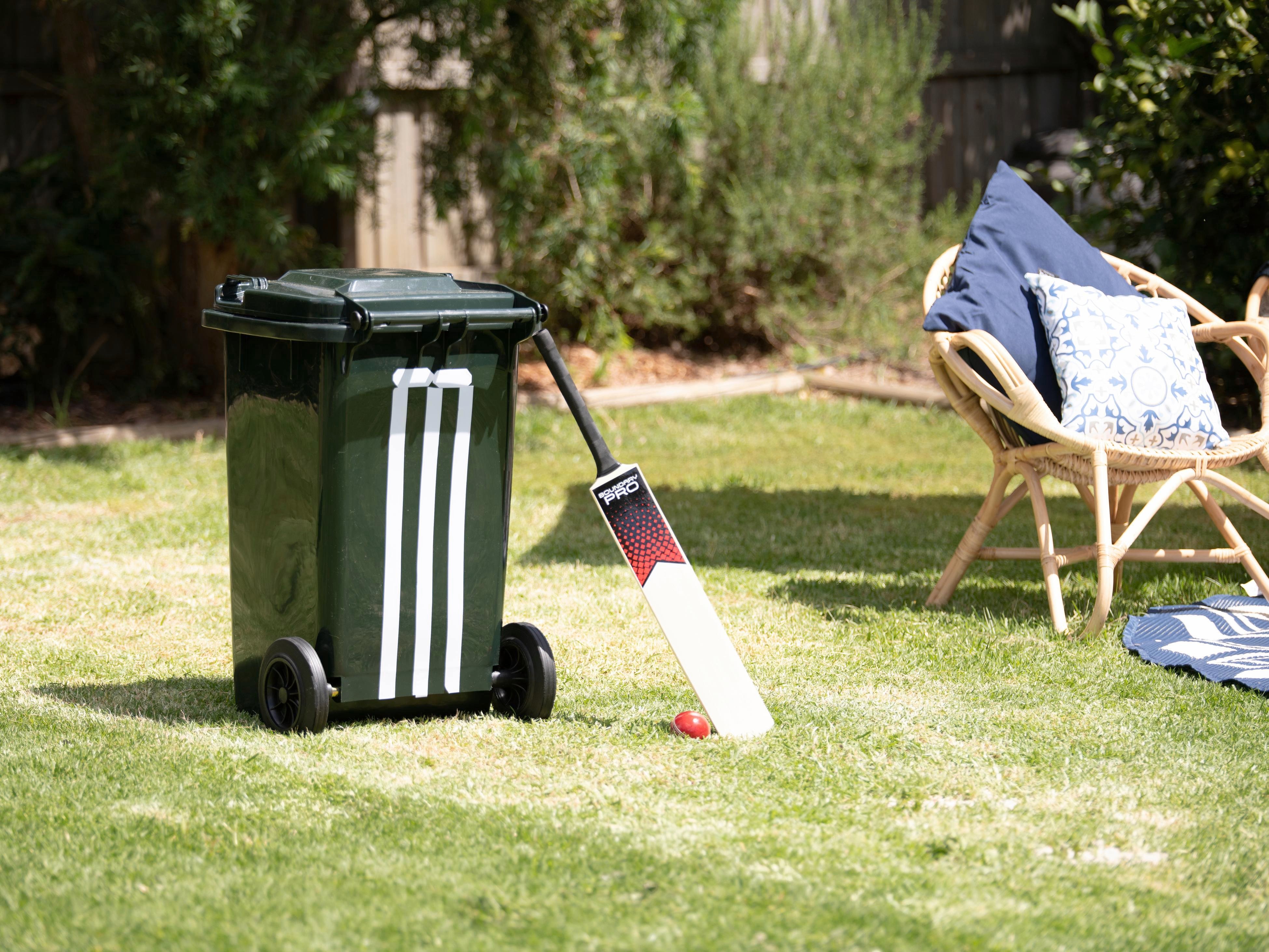 D.I.Y Backyard Cricket Set Up - Bunnings New Zealand