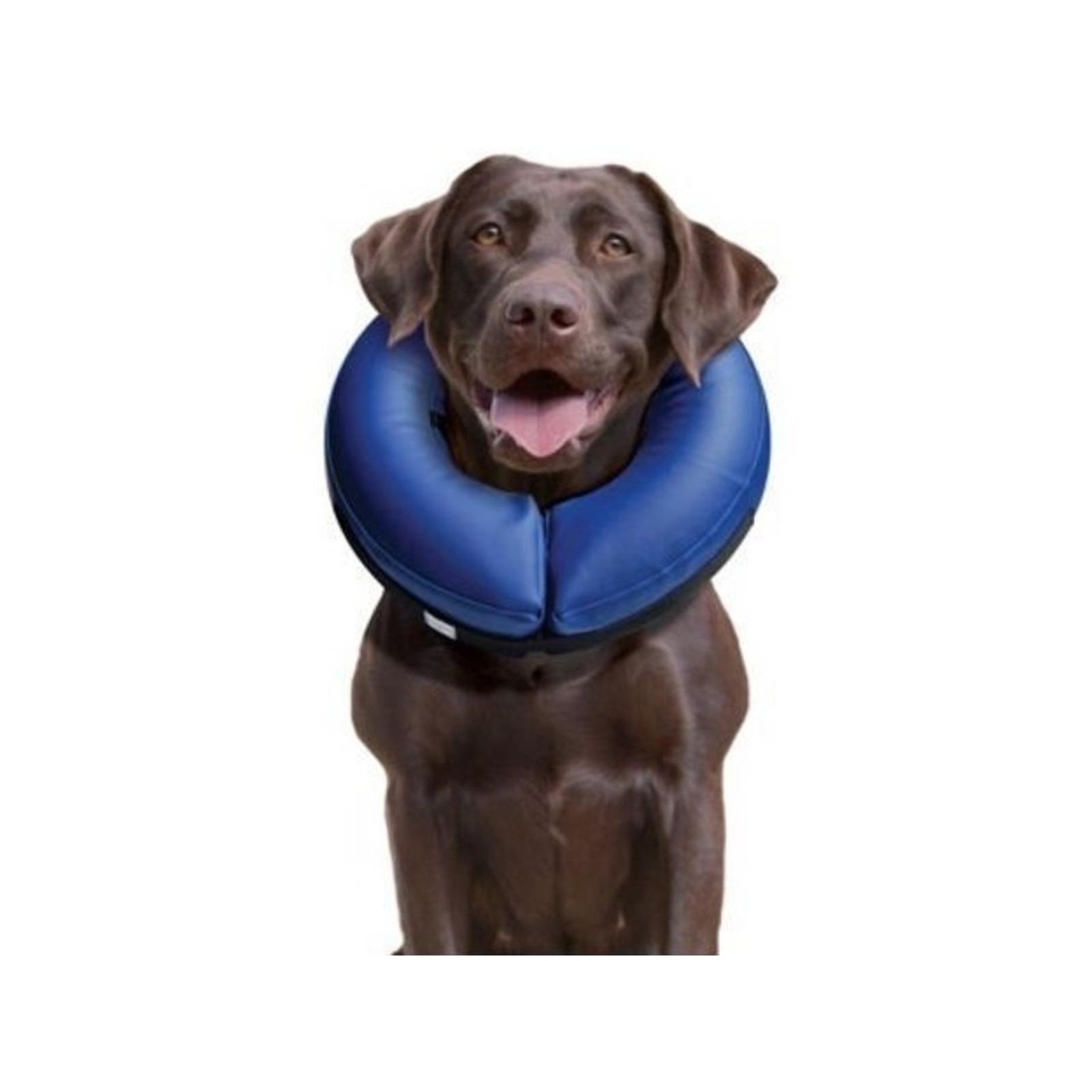 Buster Inflatable Medical Post Surgery Protective Nylon Dog Collar ...
