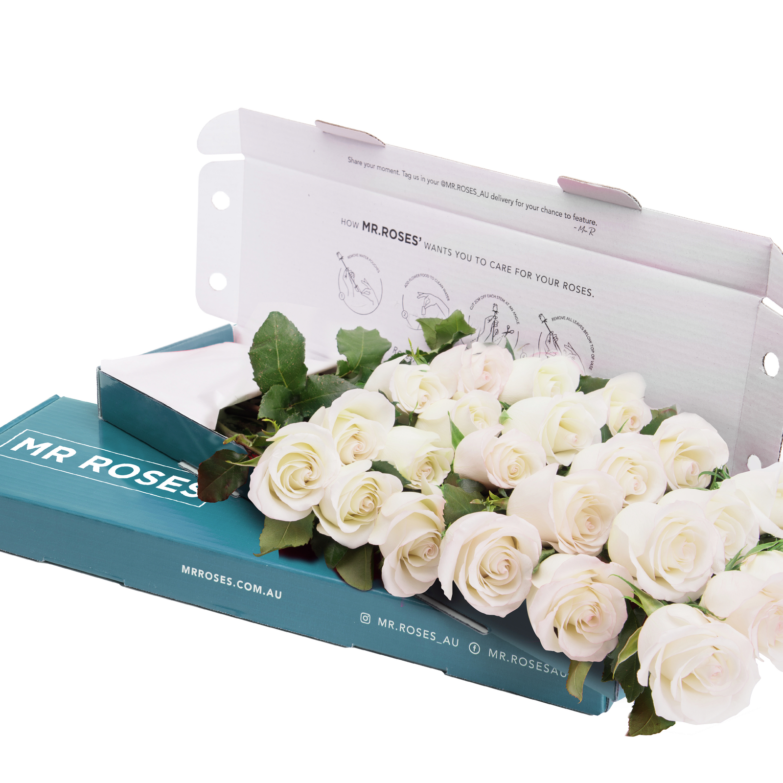 Sublime 21 White Cream Roses With Gift Box - Bunnings Australia