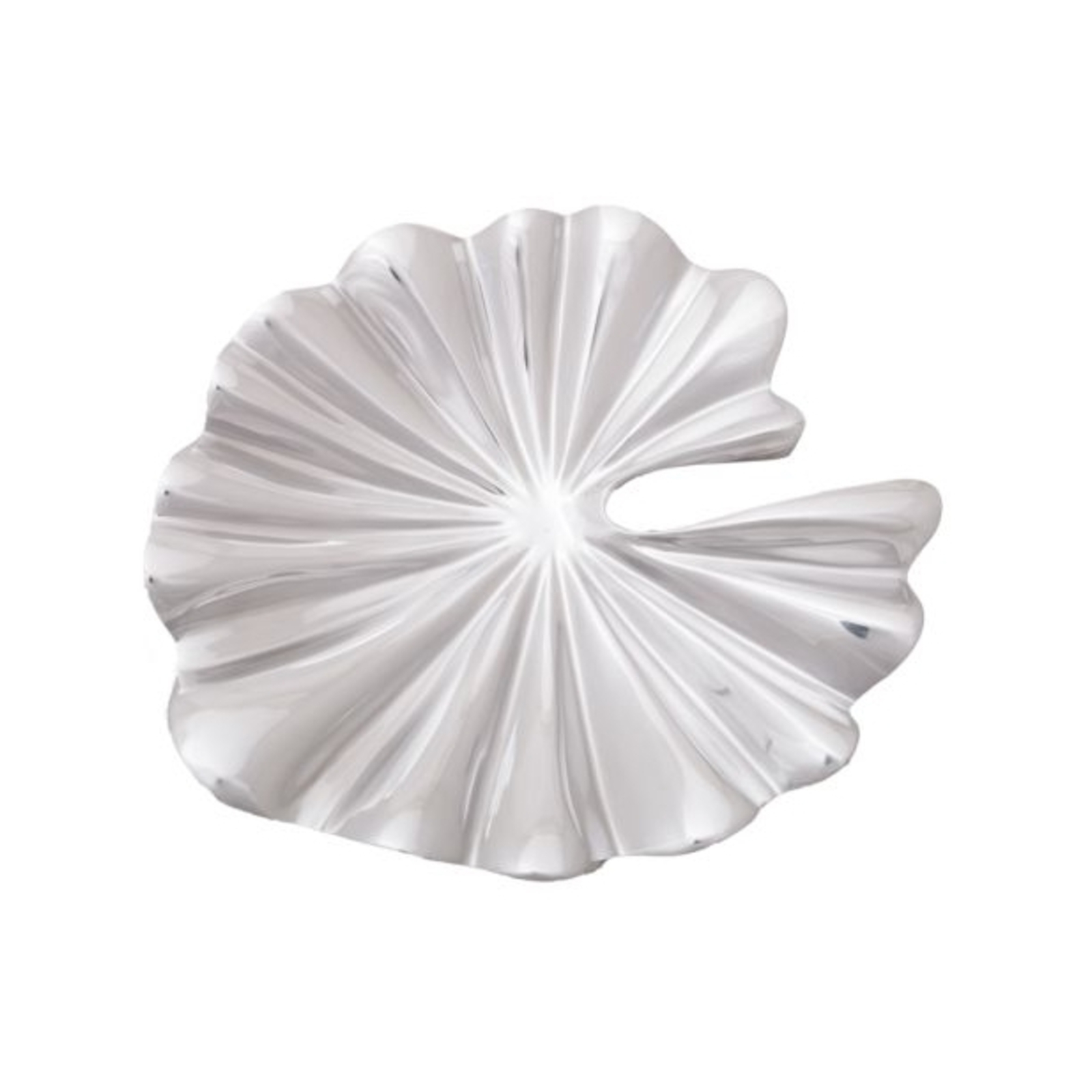 SSH COLLECTION Botanical Large 50cm Wide Decorative Leaf - Nickel ...