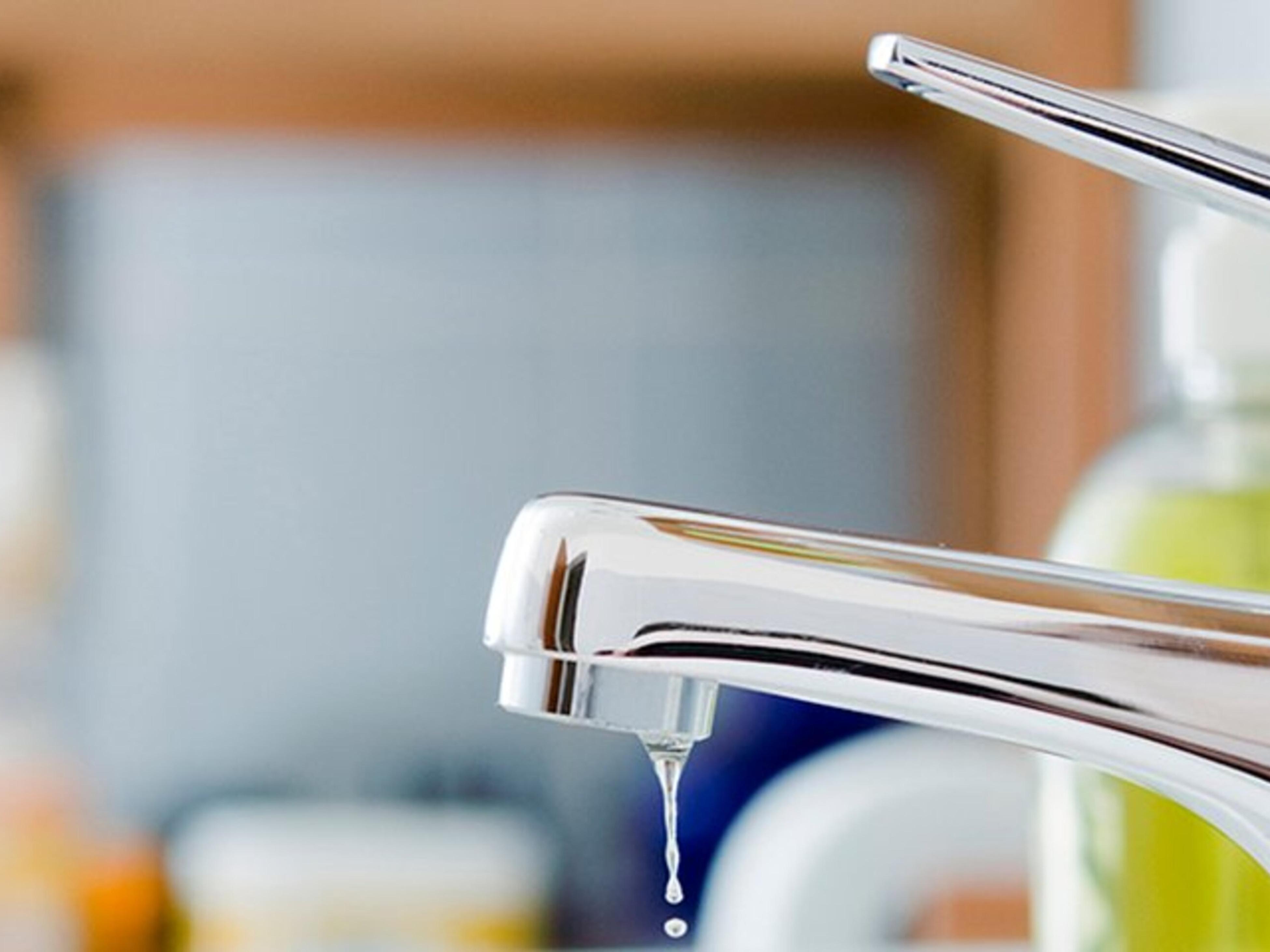 How To Reduce Water Usage - Bunnings Australia