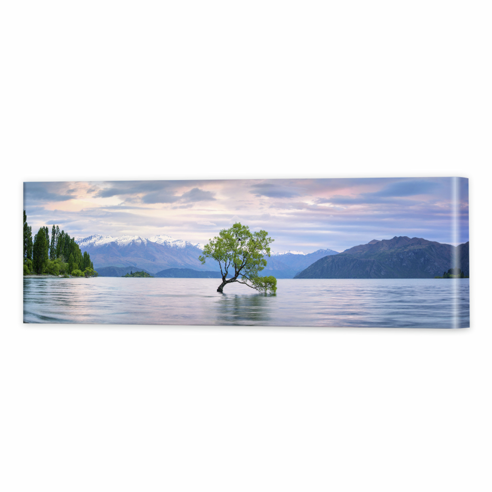 Lake Wanaka Panoramic | 120 x 40cm Stretched Canvas Print - Bunnings ...