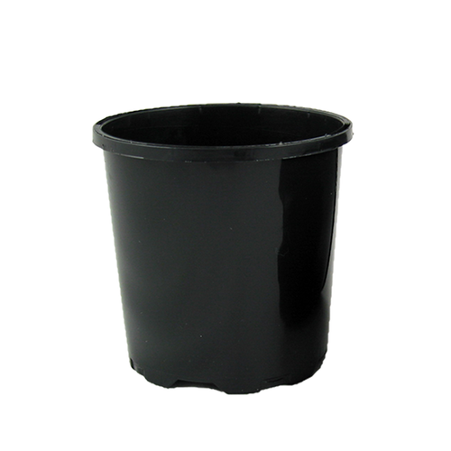 Garden City Plastic Grow Plant Pot - 100mm Black - Bunnings Australia