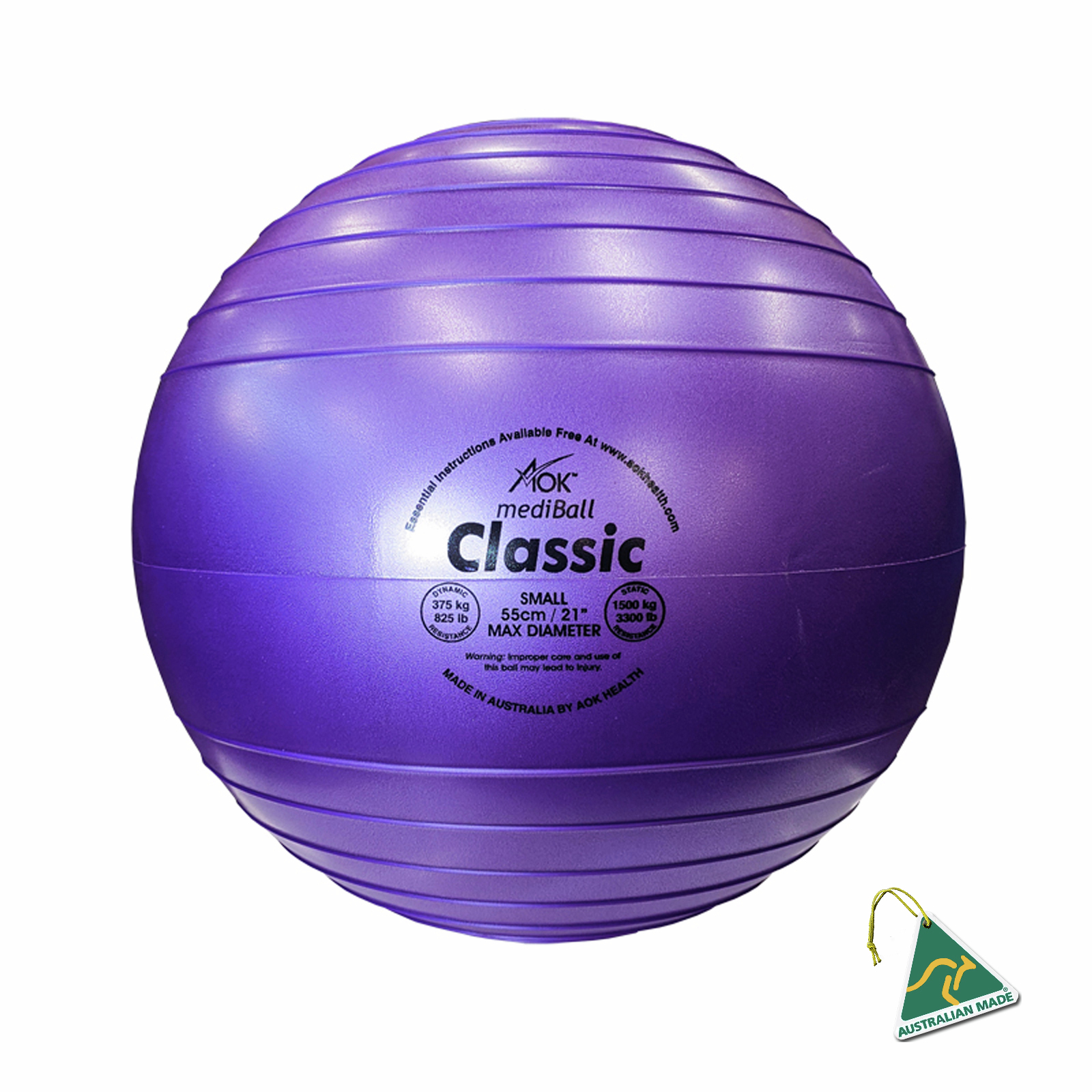 Mediball Classic Series 55cm - Purple - Bunnings Australia