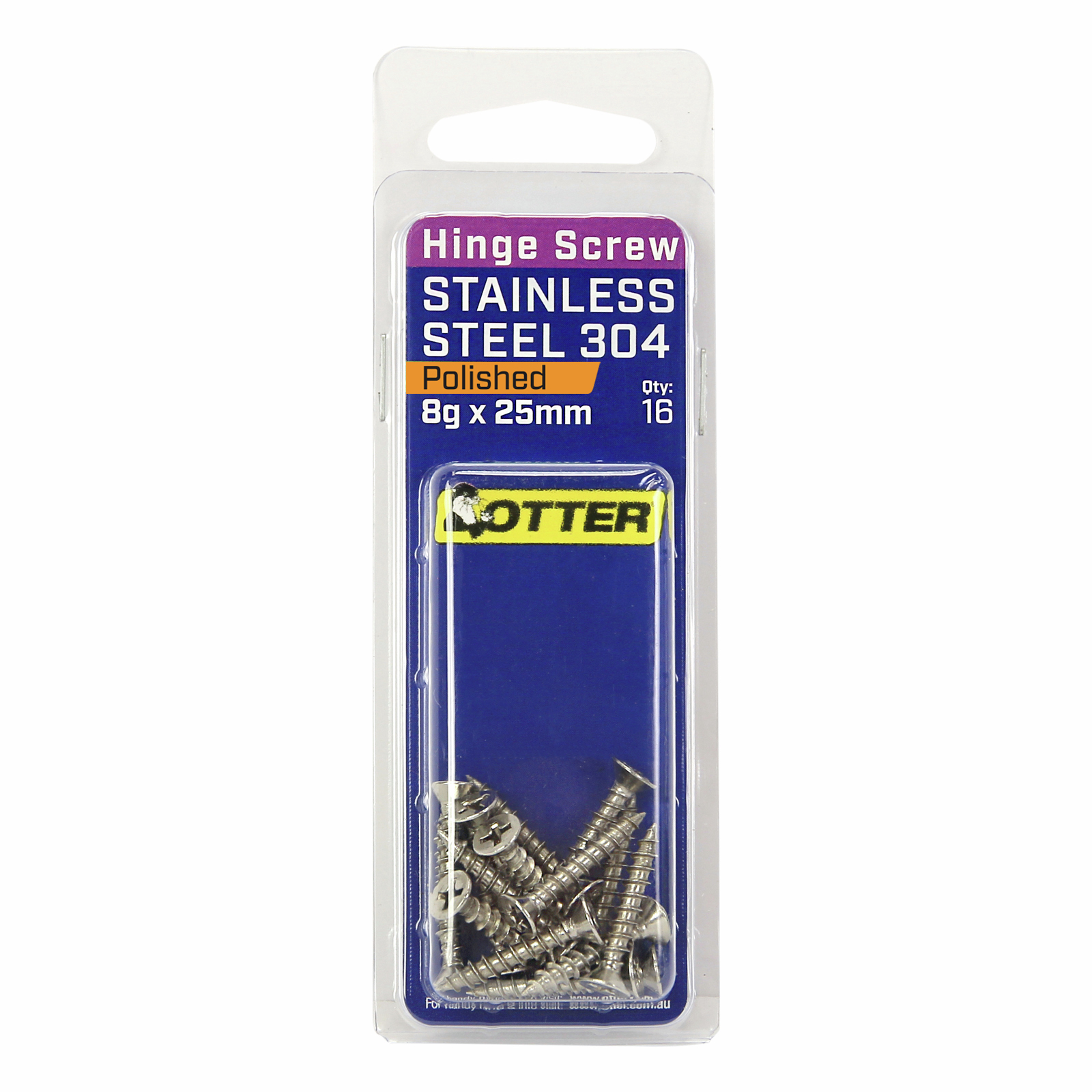 Otter 8 x 25mm Polished Stainless Steel 304 Hinge Screws - 16 Pack ...