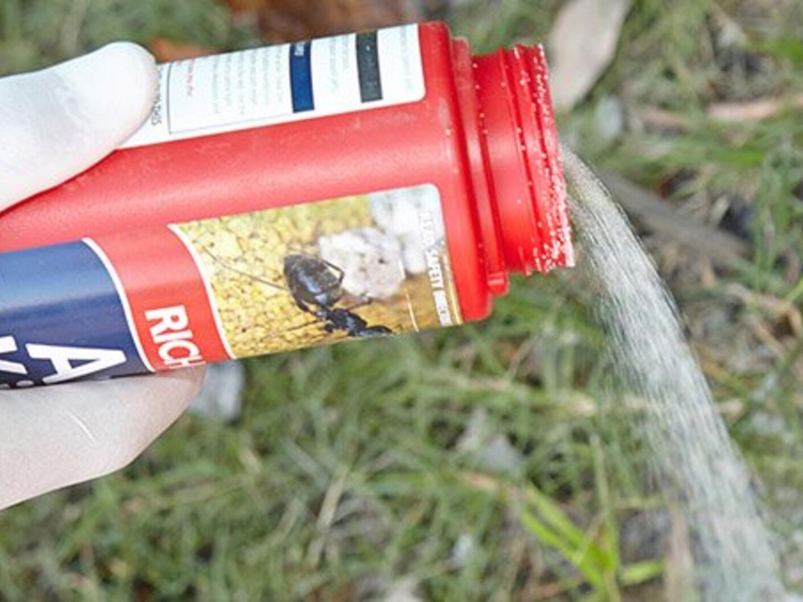 How To Get Rid Of Ants - Bunnings Australia