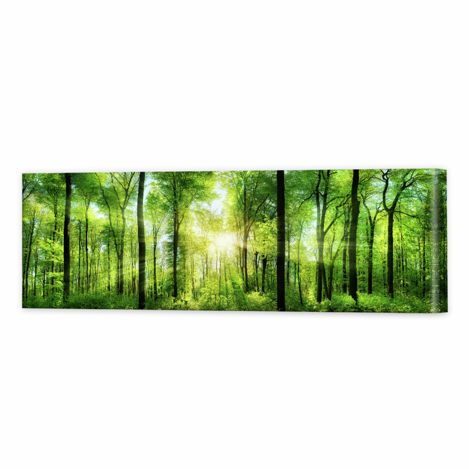 Heart Of The Forest | 120 x 40cm Stretched Canvas Print - Bunnings ...