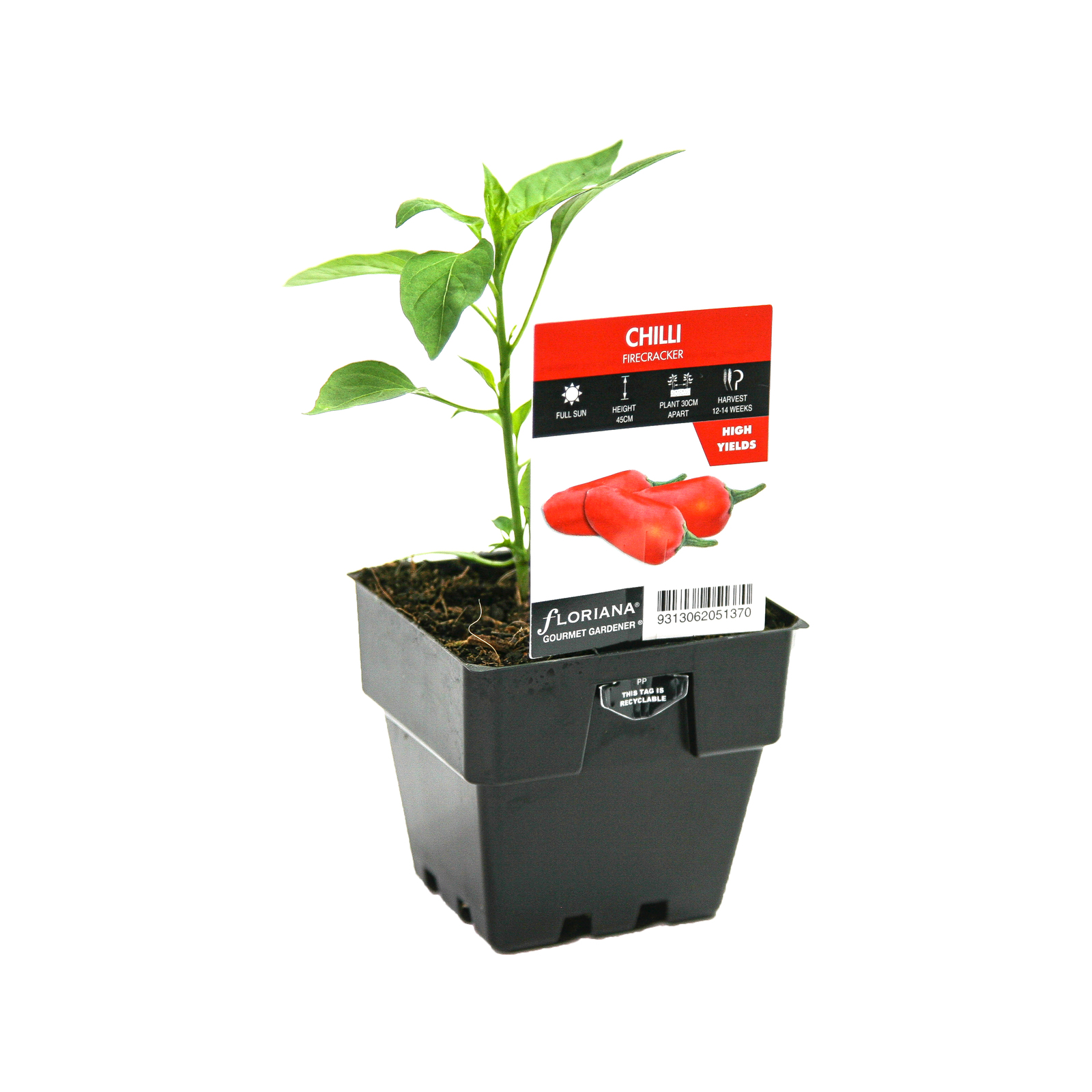 100mm Chilli Firecracker - Capsicum annuum - Bunnings Australia