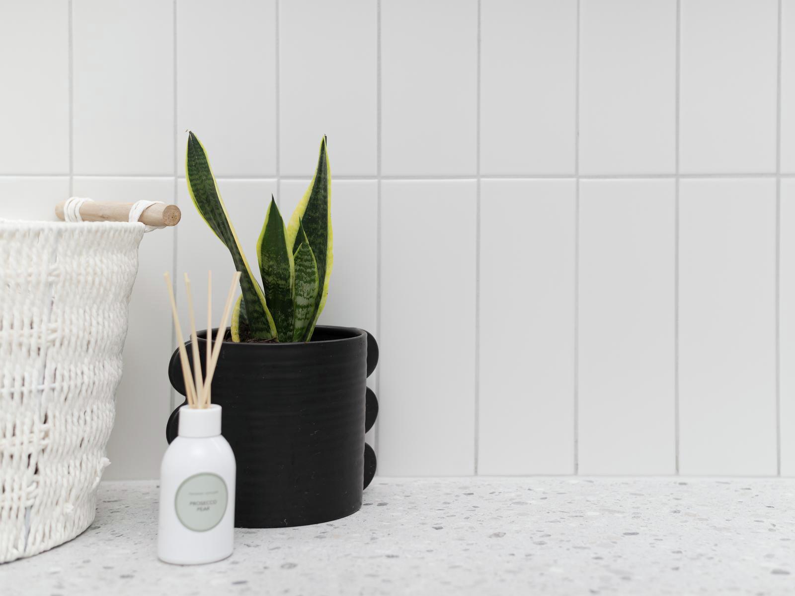 How To Tile a Splashback - Bunnings New Zealand