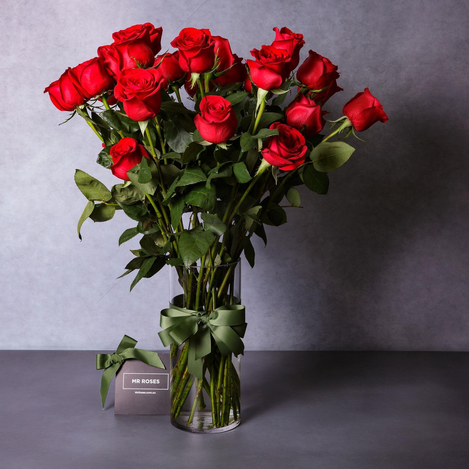 12 Long Red Roses - Bunnings Australia