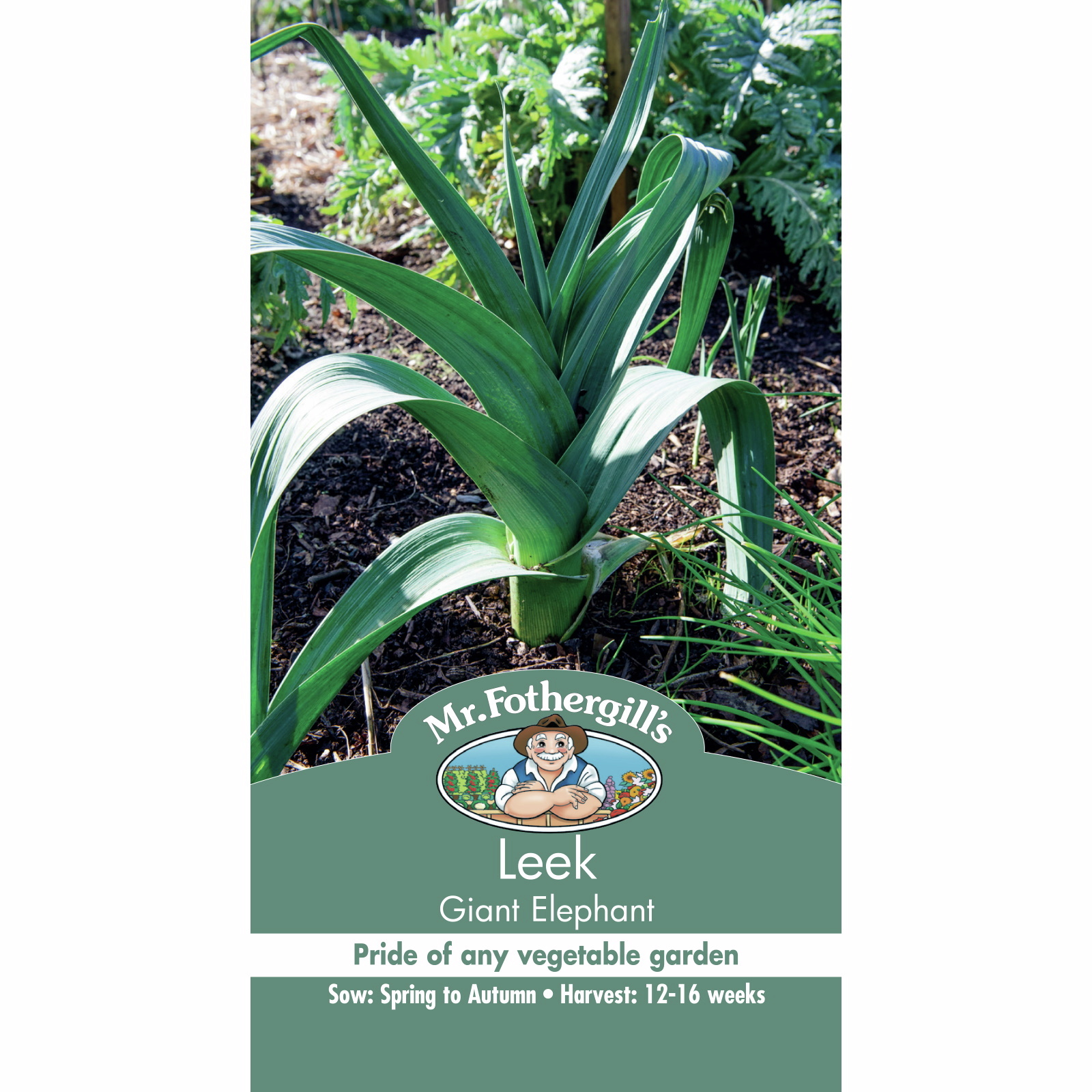 Mr Fothergill's Leek Elephant Vegetable Seeds - Bunnings Australia