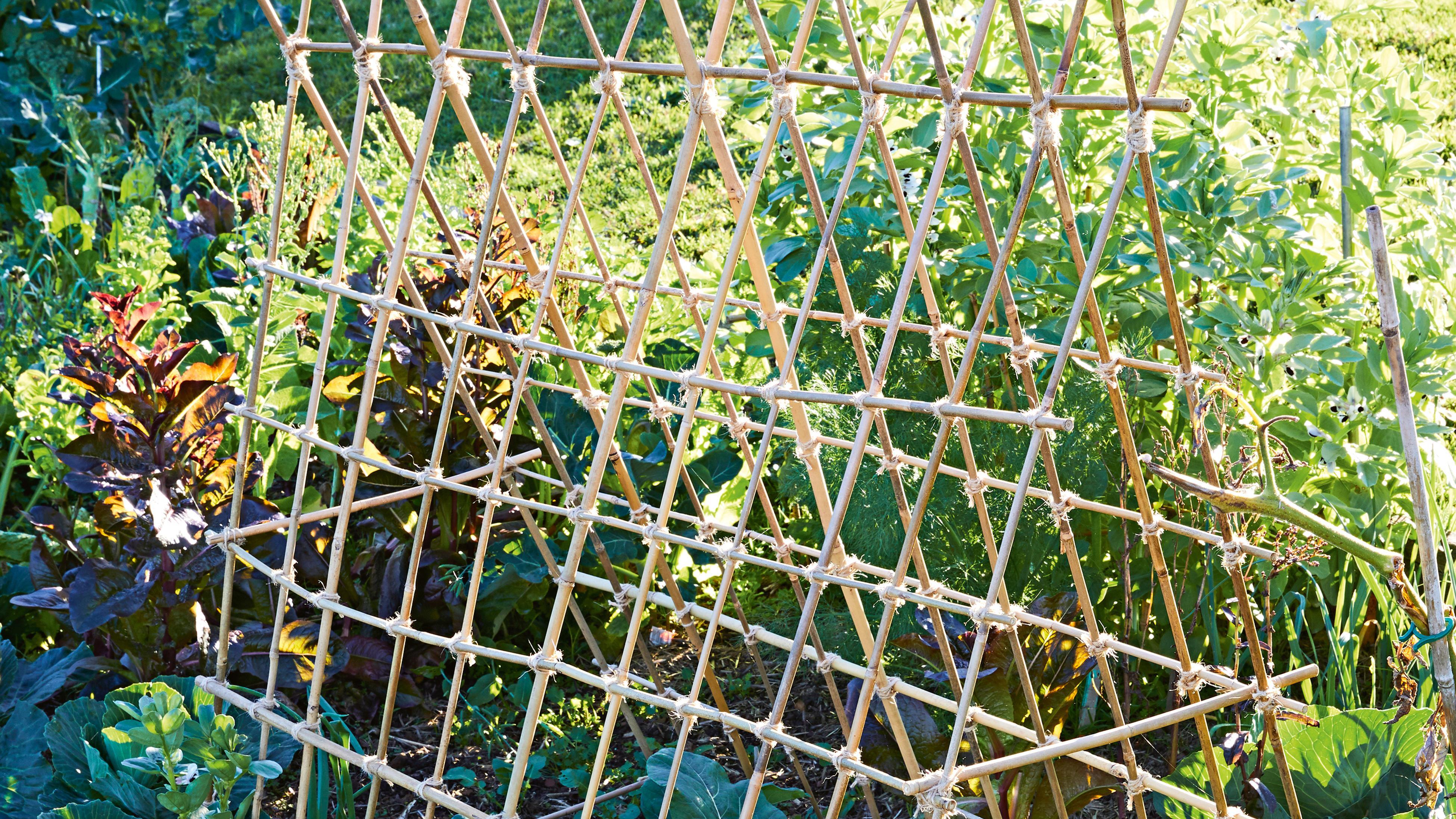 How To Make A Triangular Bamboo Plant Frame - Bunnings New Zealand