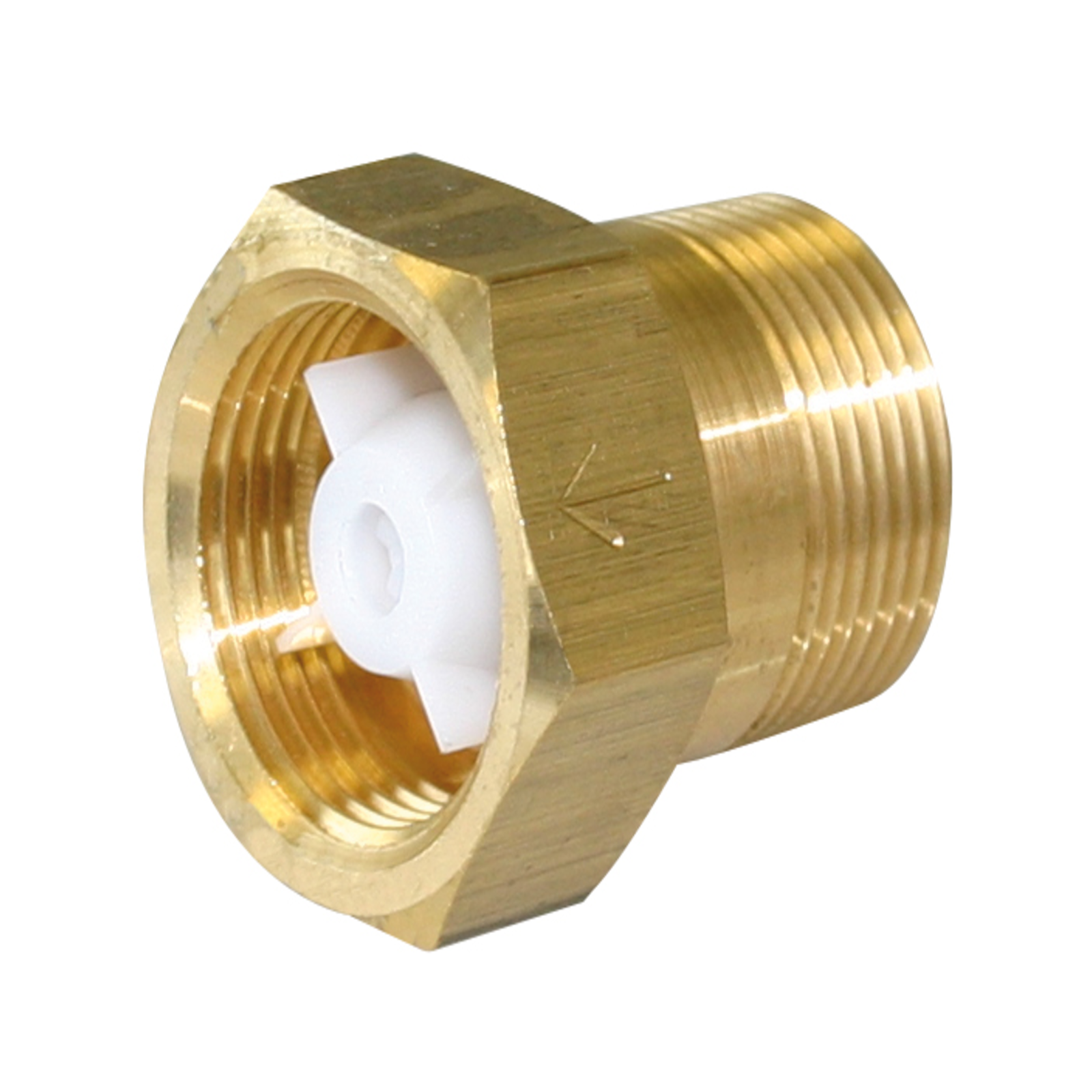 Apex 20mm Non Return Valve - Bunnings New Zealand