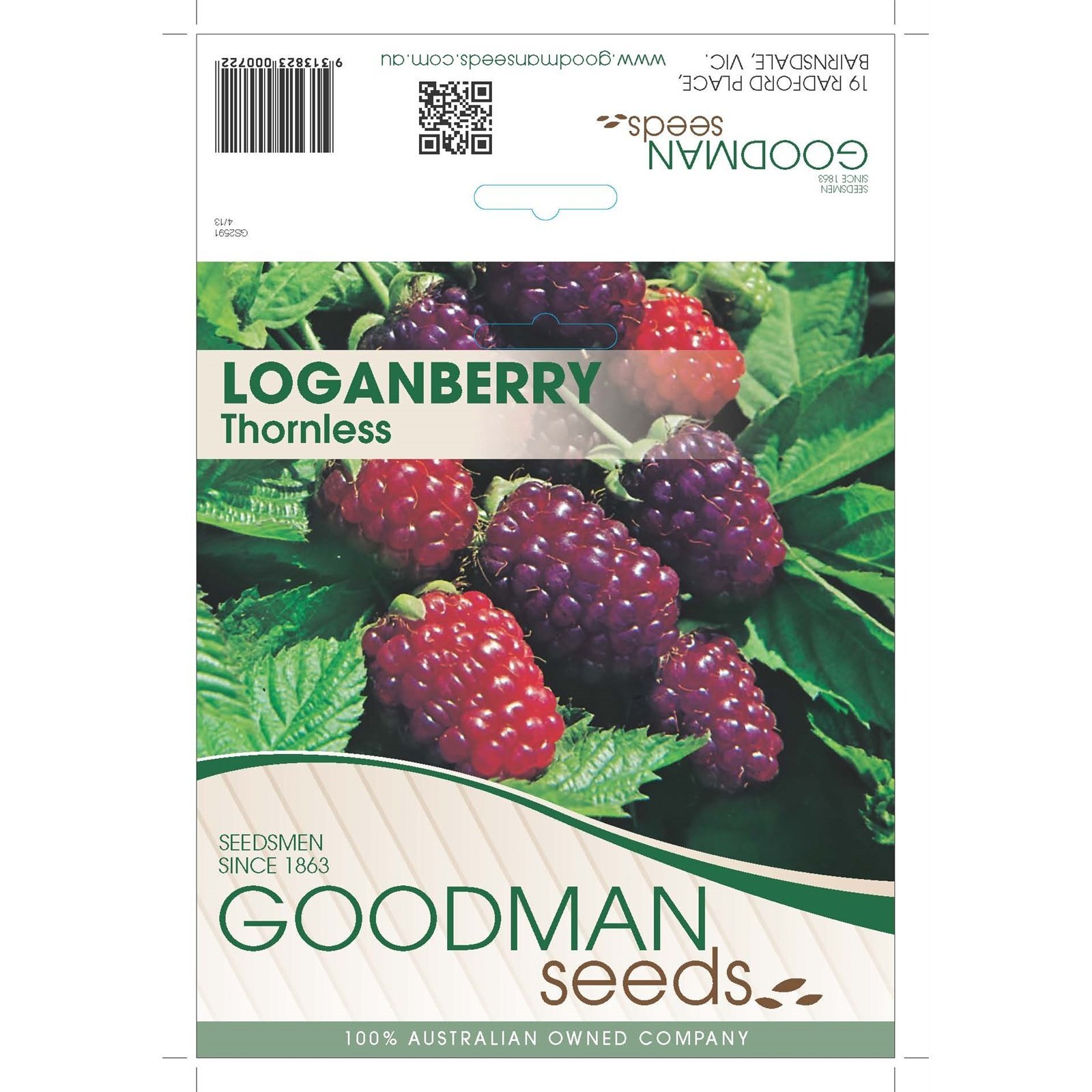 Bagged Thornless Loganberry Bulb - Rubus Loganobaccus - Bunnings Australia