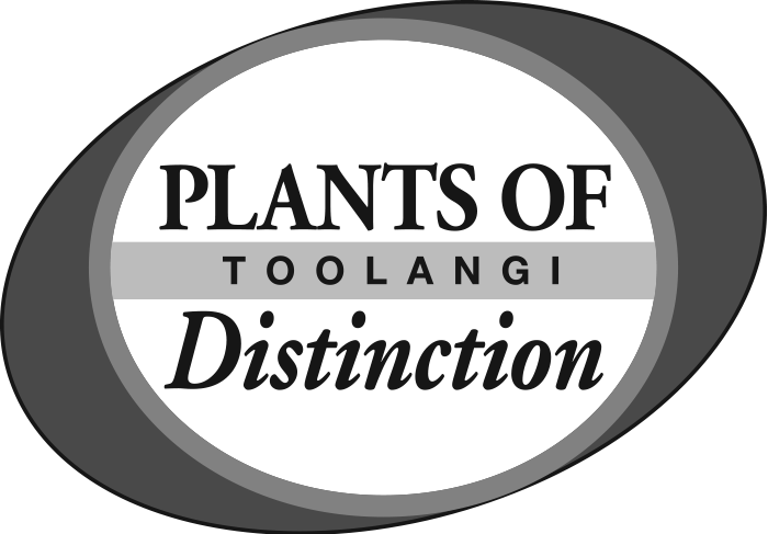 Toolangi Wholesale Nurseries - Bunnings Australia
