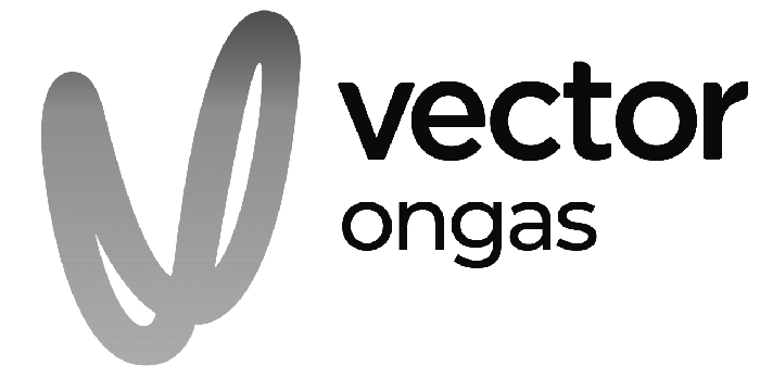 Vector OnGas - Bunnings Australia