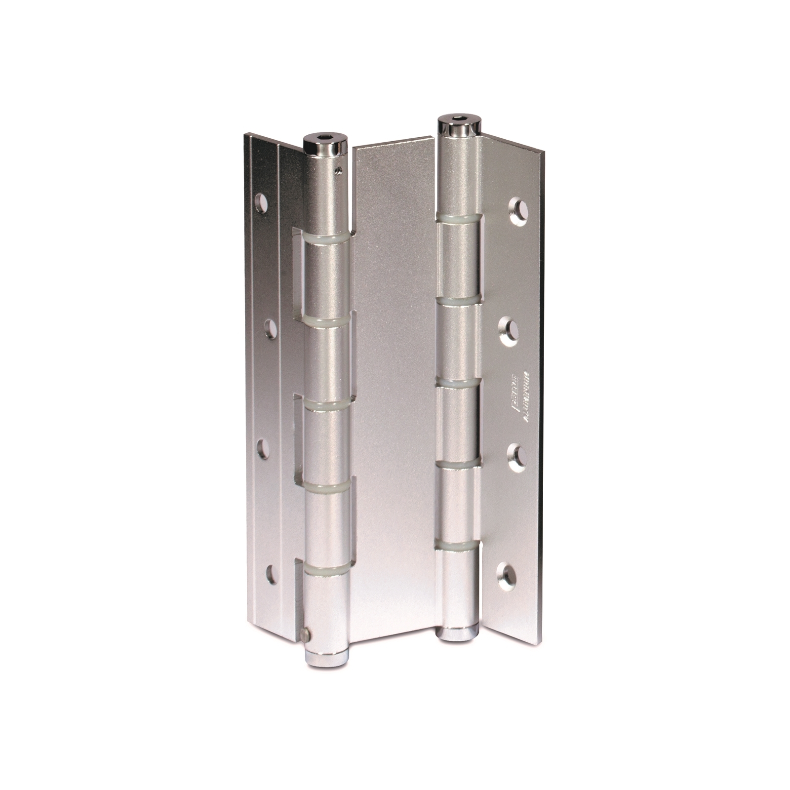 Lane 180mm Aluminium Double Action Fixed Pin Hinge - Bunnings Australia